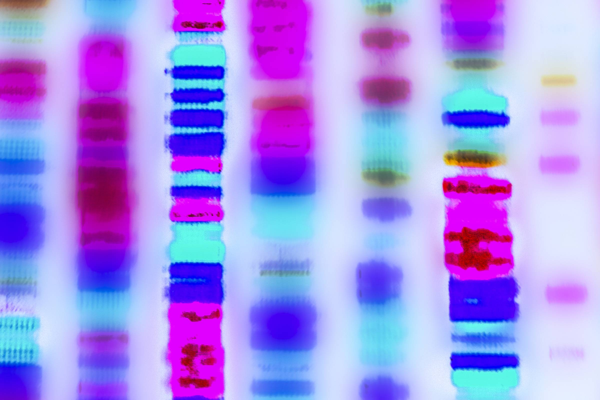 New cloud-based platform opens genomics data to all | Hub