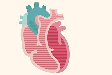 Study: Obesity fuels silent heart damage, increased risk of future ...