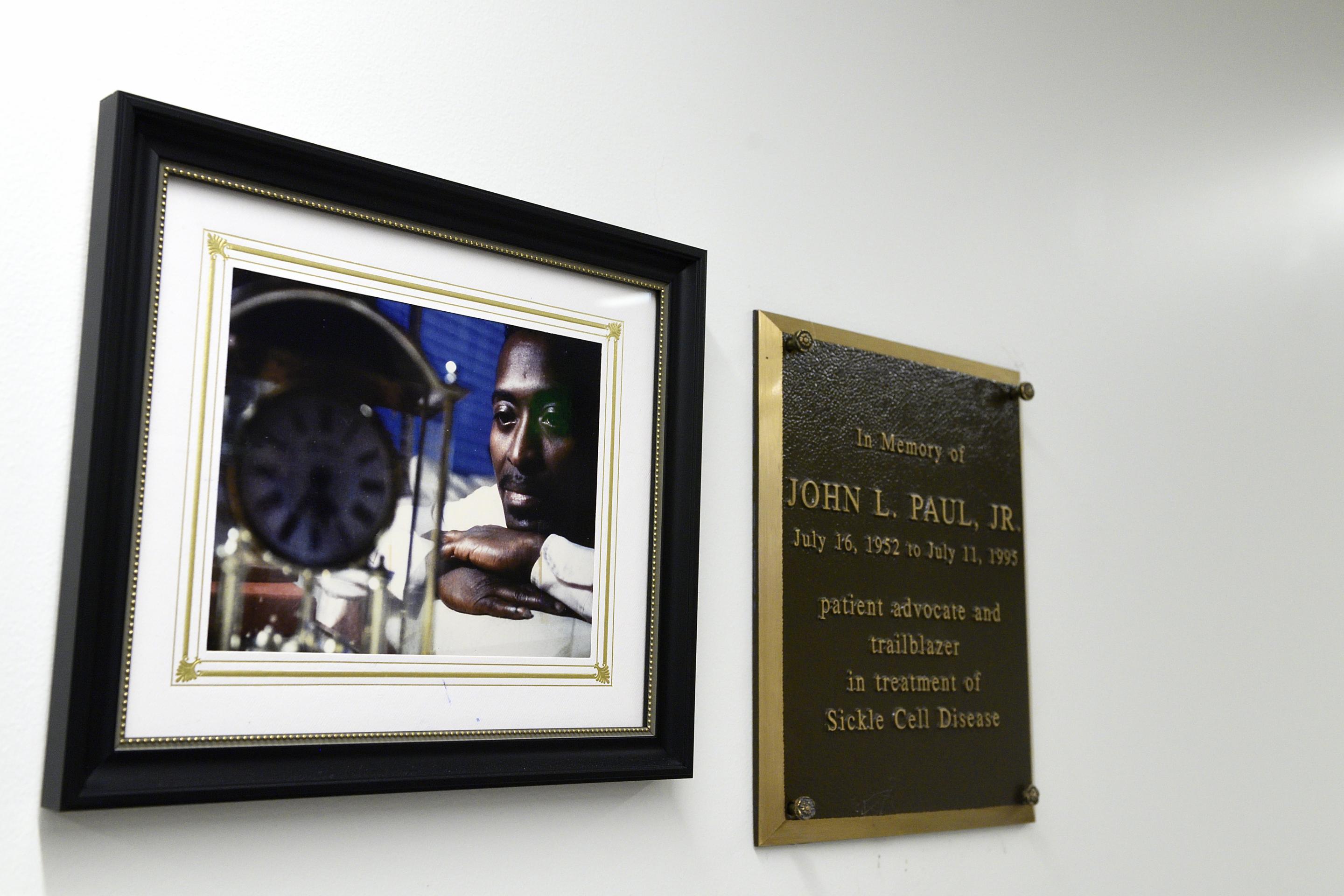 The thorny history of sickle cell anemia | Hub