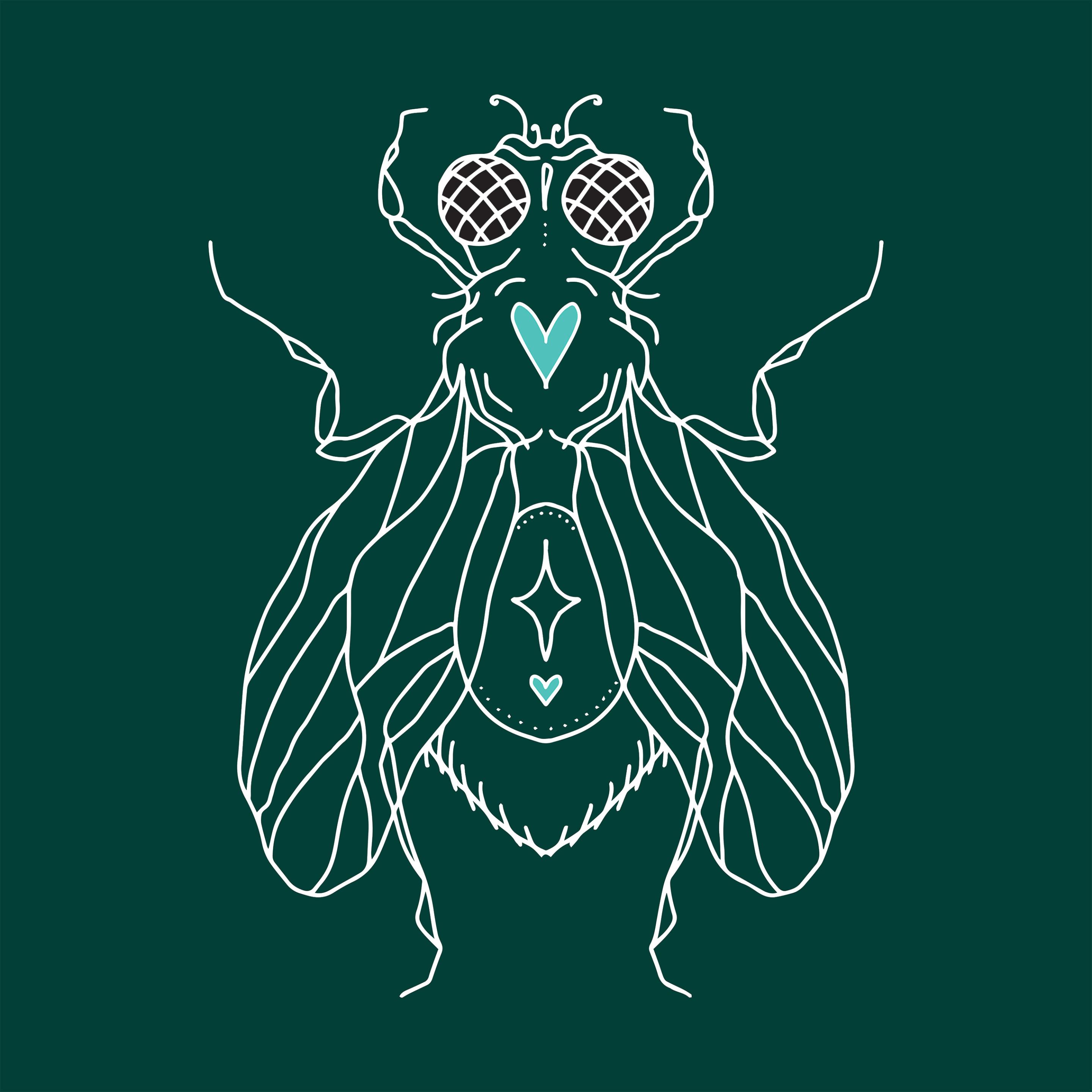 Mapping the insect brain | Hub