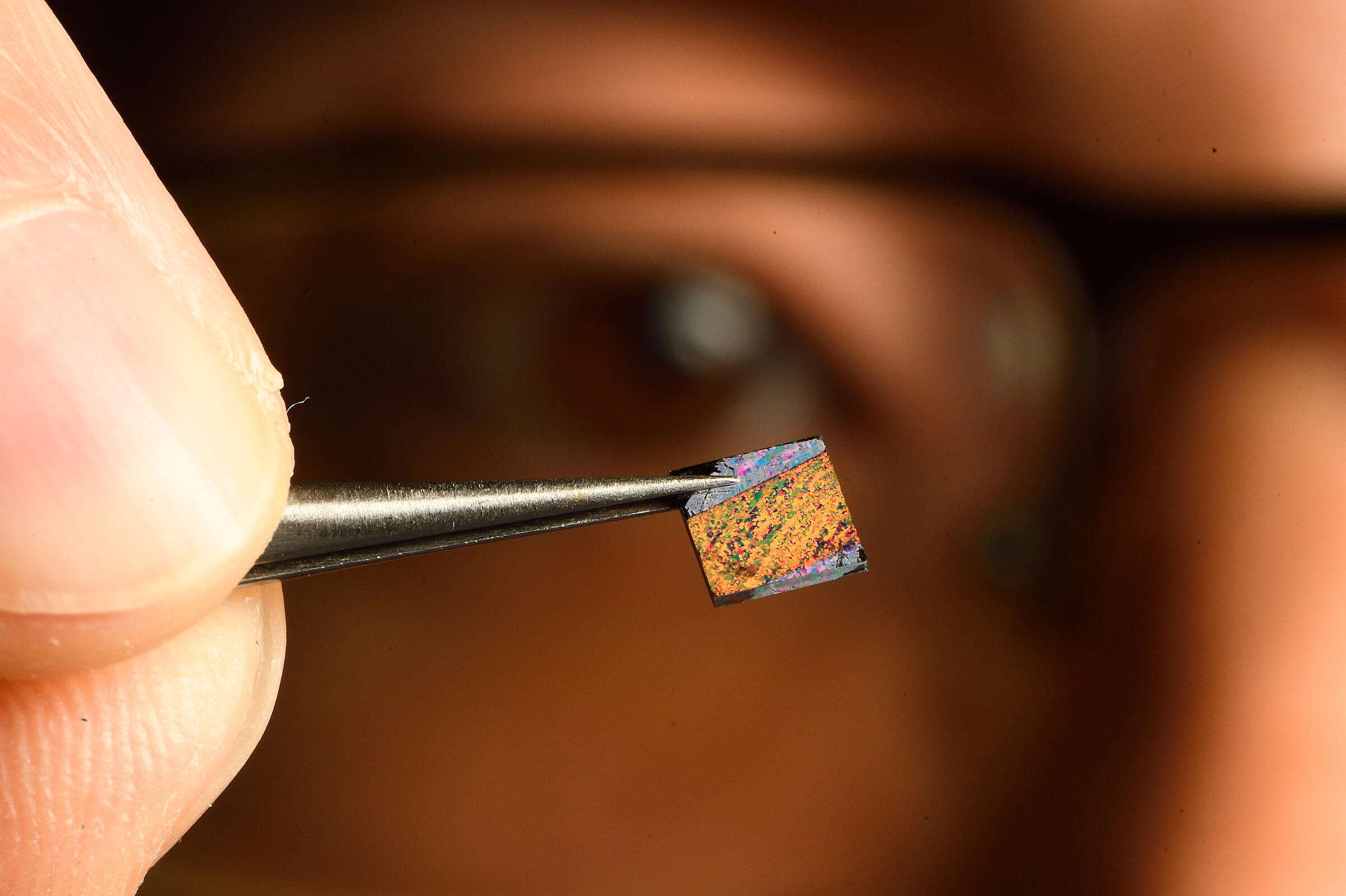 New blood test quickly detects earliest signs of heart attack | Hub