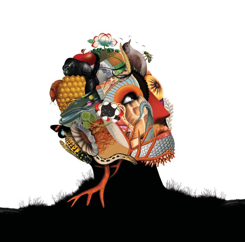 Evolution, evolved | Hub