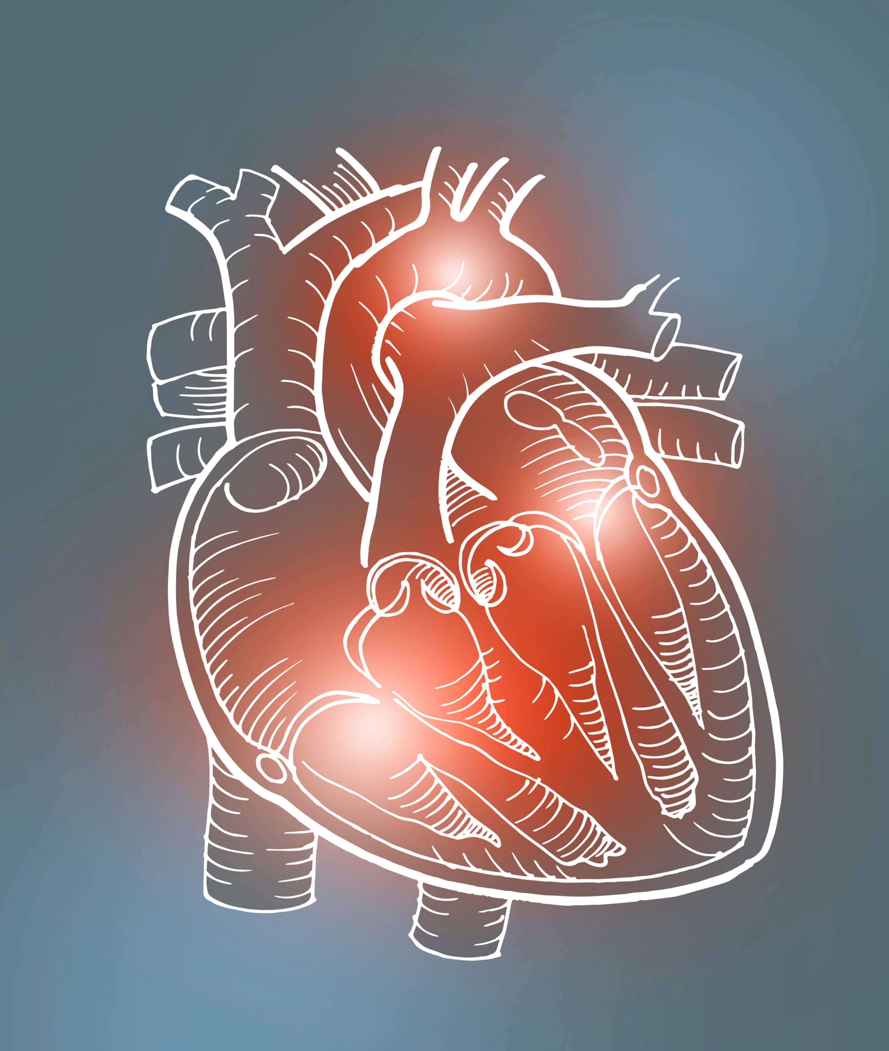 AI predicts if and when someone will experience cardiac arrest | Hub