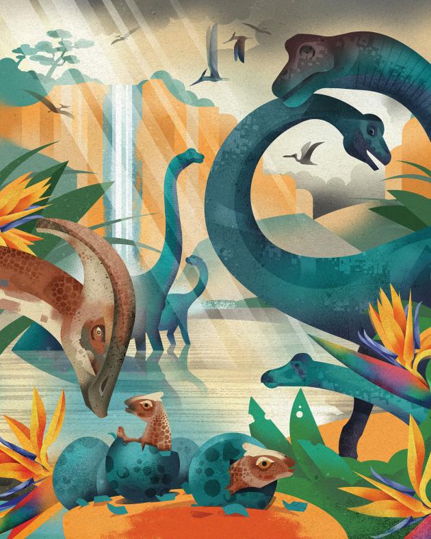 Cracking open the fossil record | Hub