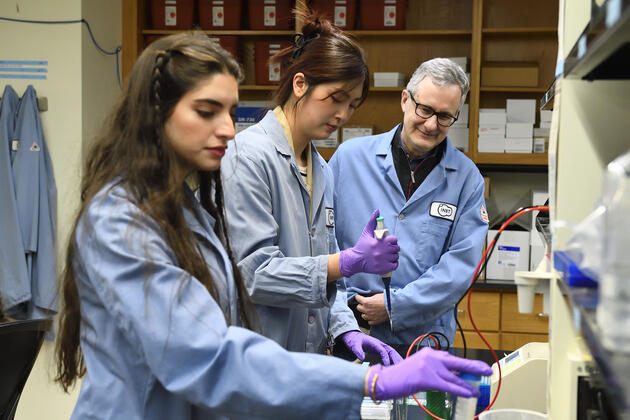 Johns Hopkins researchers decipher complex behaviors behind deadly cancers | Hub